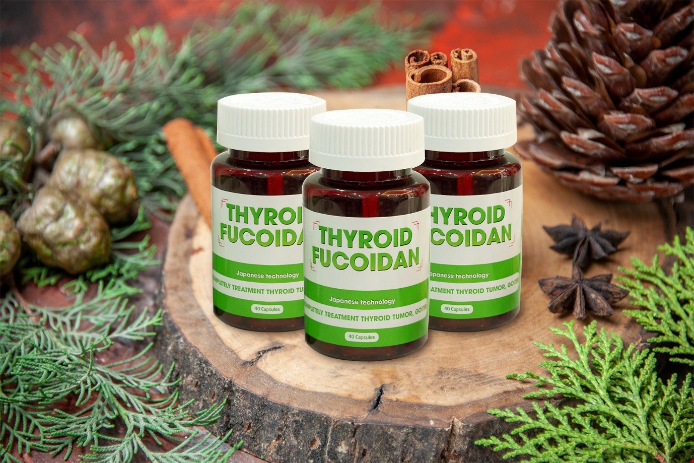 THYROID FUCOIDAN – THỰC PHẨM BẢO VỆ SỨC KHỎE, TRỢ THỦ ĐẮC LỰC CHO NGƯỜI ...